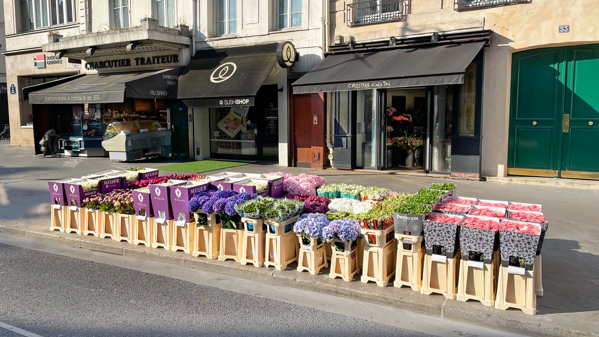 Login - Insight NECSE